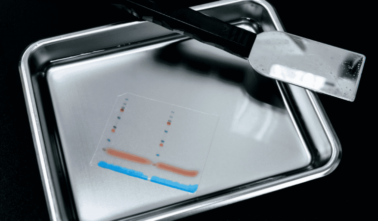 Protein Simple Jess A Guide to Automated Western Blotting